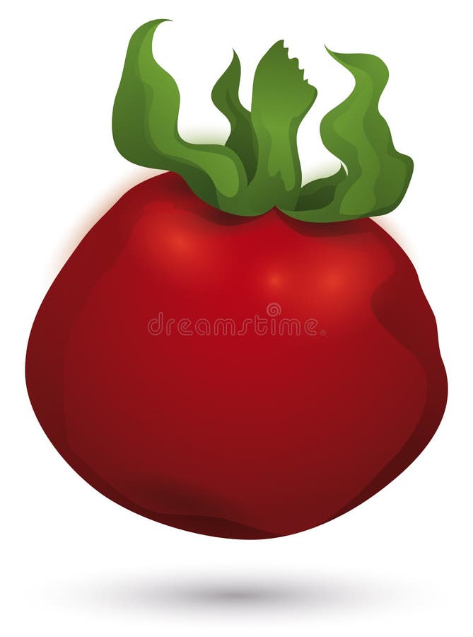 Ripe Tomato Falling Over White Background, Vector Illustration Stock ...