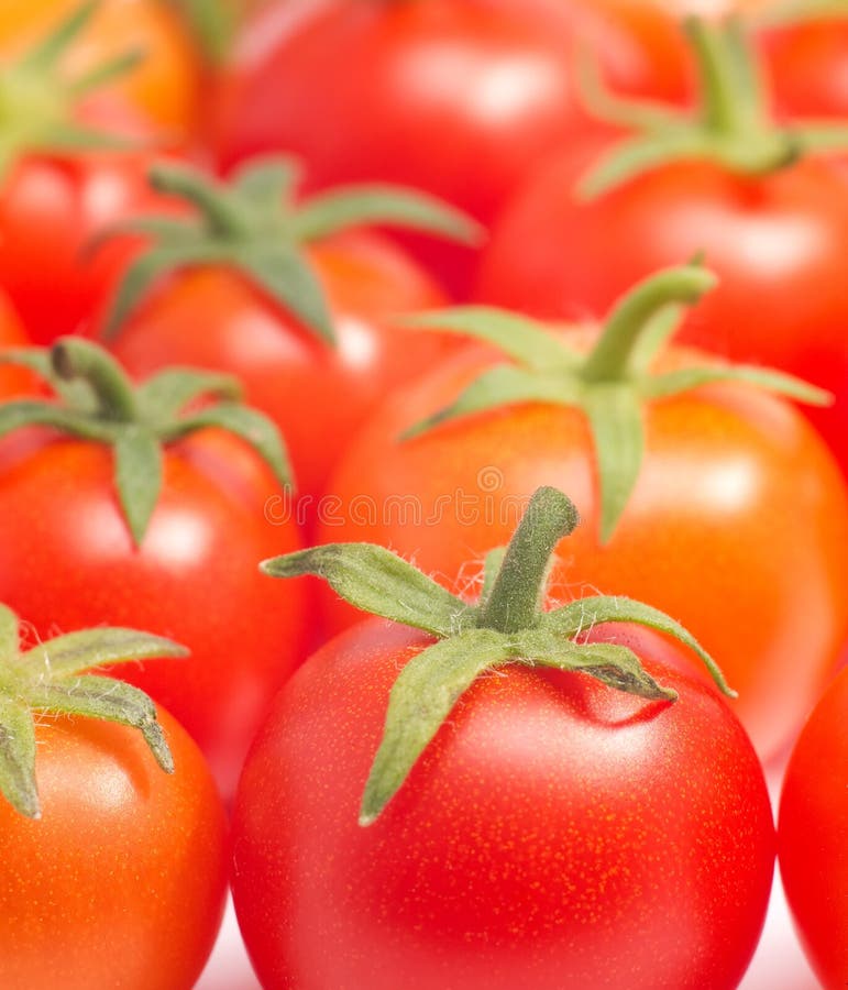 Ripe tomatoes stock photo. Image of nature, fresh, cooking - 27348686