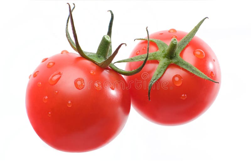 Ripe tomatoes isolated stock image. Image of tomato, freshness - 71954915