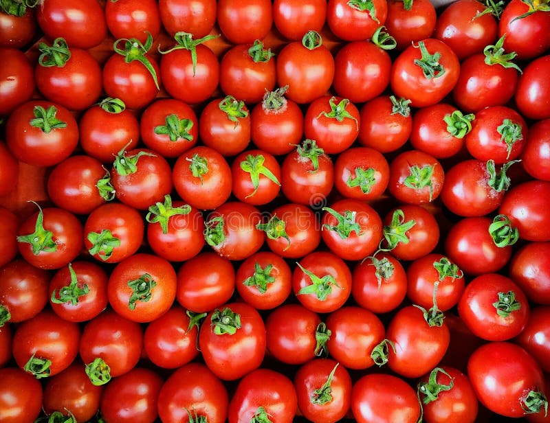 Ripe Tomatoes Lying on the Counter Stock Image - Image of fruit, ripe ...
