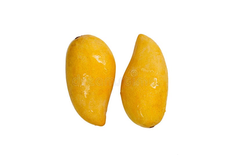 Two Ripe Mangos on Isolated White Background. Healthy and Diet Concept ...