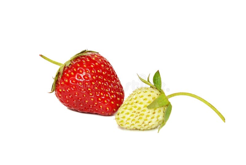 Ripe and Unripe Strawberries Stock Image - Image of freshness, berry ...