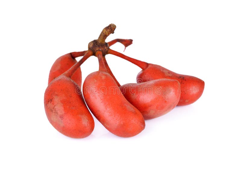 Uvaria Rufa Blume Fruit Carabao Teats, Forest Fruit, Buffalo Milk Red ...