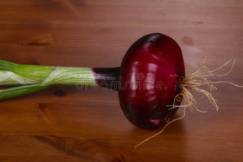 Ripe Violet Onion with Green Stock Photo - Image of vegetable, onion ...