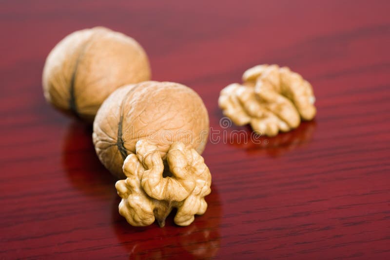 Ripe walnut stock photo. Image of brown, grow, farm, fall - 22881554