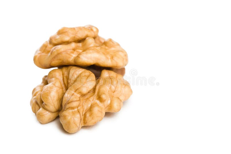 Ripe walnut. stock photo. Image of food, diet, white - 27750086