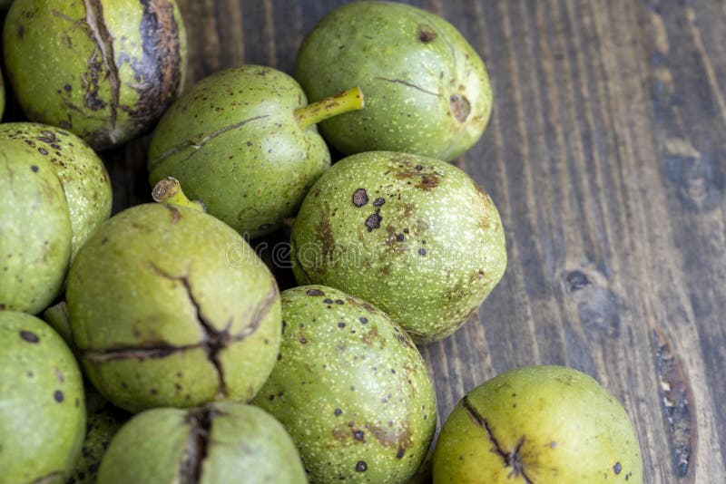 Ripe Walnuts with Green Shells Stock Photo - Image of health, fresh ...