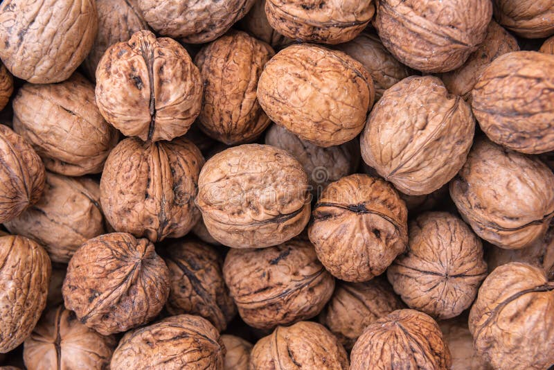 Ripe walnuts texture stock photo. Image of autumn, food - 89907550