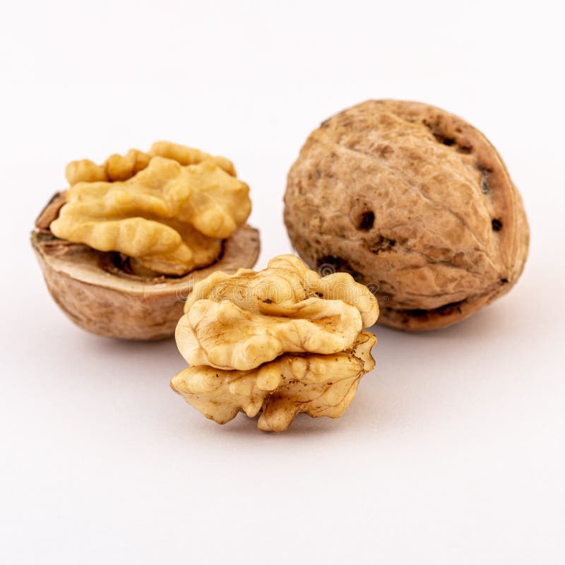 Ripe Walnuts on White Background Stock Photo - Image of kernel ...