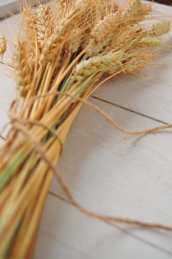 Ripe Wheat Bran on the Table Stock Photo - Image of rural, grain: 100956766