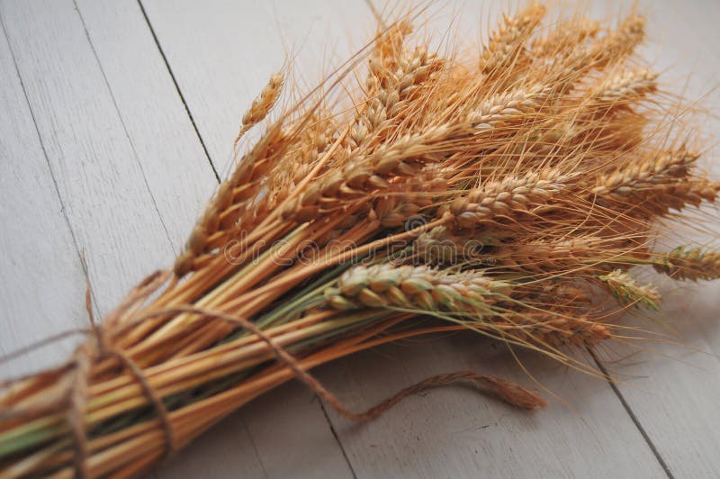 Ripe Wheat Bran on the Table Stock Image - Image of farm, organic: 98388051