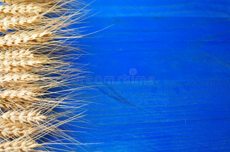 Ripe Wheat Bran on the Table Stock Image - Image of grain, fall: 98388157