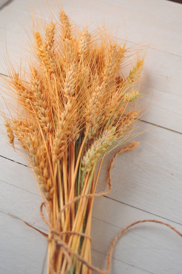 Ripe Wheat Bran on the Table Stock Image - Image of organic, crop: 98388285