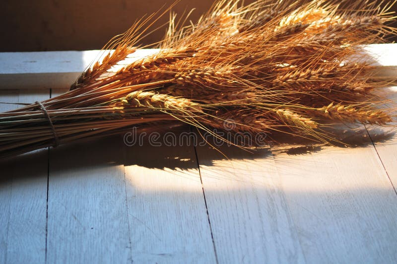 Ripe Wheat Bran on the Table Stock Photo - Image of farm, copy: 98388654