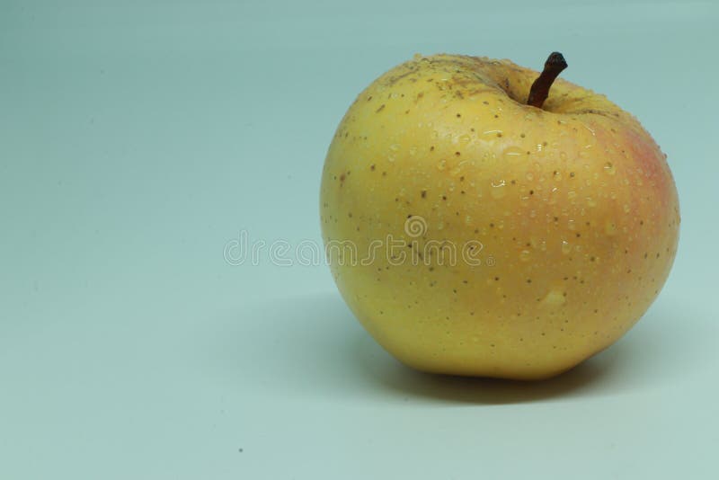 Ripe yellow apple on white stock image. Image of fruit - 255371361