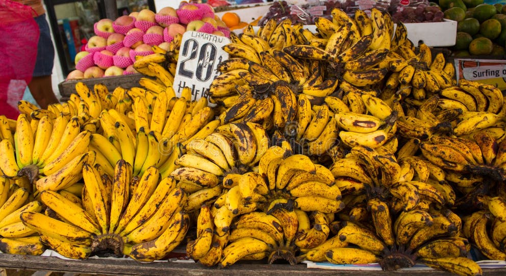 Ripe yellow banana stock photo. Image of saging, yellow - 26406688