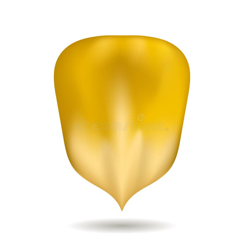 Yellow corn seed stock vector. Illustration of maize - 91440750