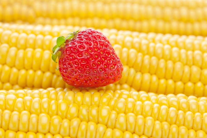 Ripe Yellow Corn and Strawberry Stock Image - Image of fresh, front ...