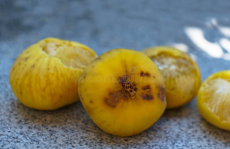 Ripe yellow fig fruit stock photo. Image of tasty, juicy - 279195222
