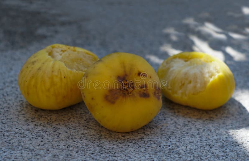 Ripe yellow fig fruit stock image. Image of yellow, ripe - 279195787