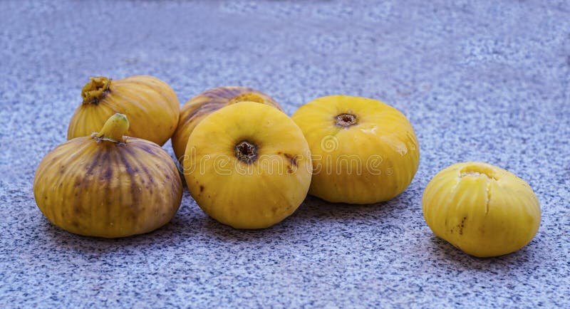 Ripe yellow fig fruit stock photo. Image of yellow, white - 279198188