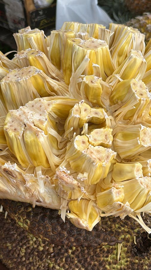 A Ripe Yellow Jackfruit stock photo. Image of foodstuff - 344875626