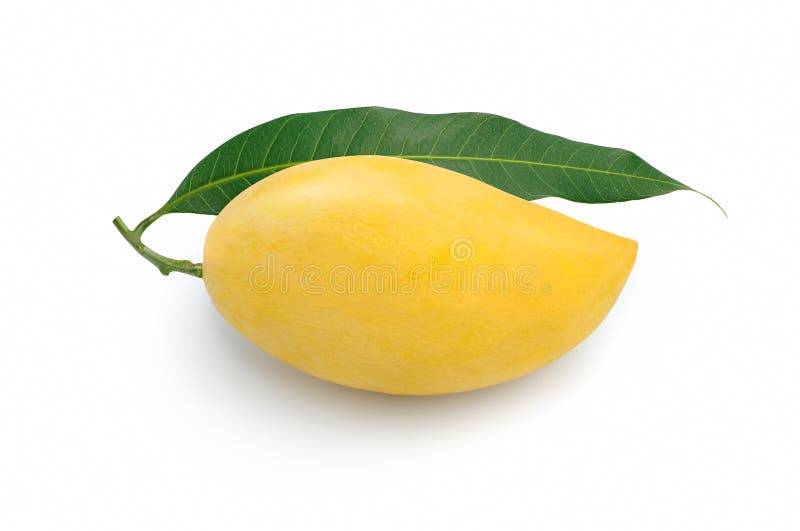 Ripe Yellow Mango and Leaf Isolated on White Background, One Whole ...