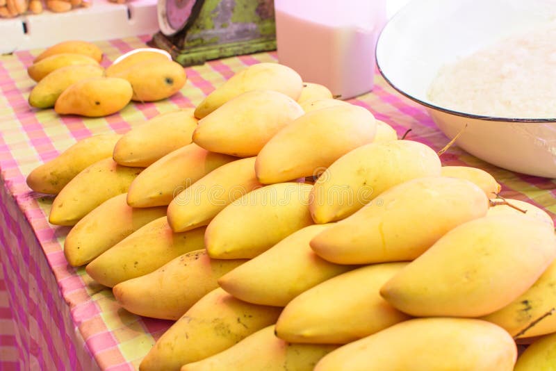 Ripe yellow mangoes stock photo. Image of fresh, ingredient - 41291348