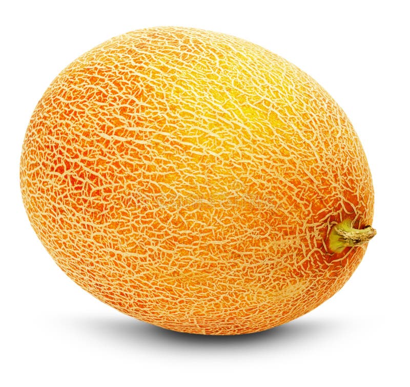 Rock Melon stock image. Image of isolated, melo, fruit - 11281871