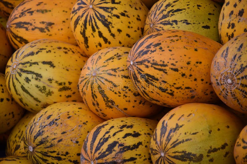 Ripe Yellow Melons at Open Air Market in Turkey Stock Photo - Image of ...