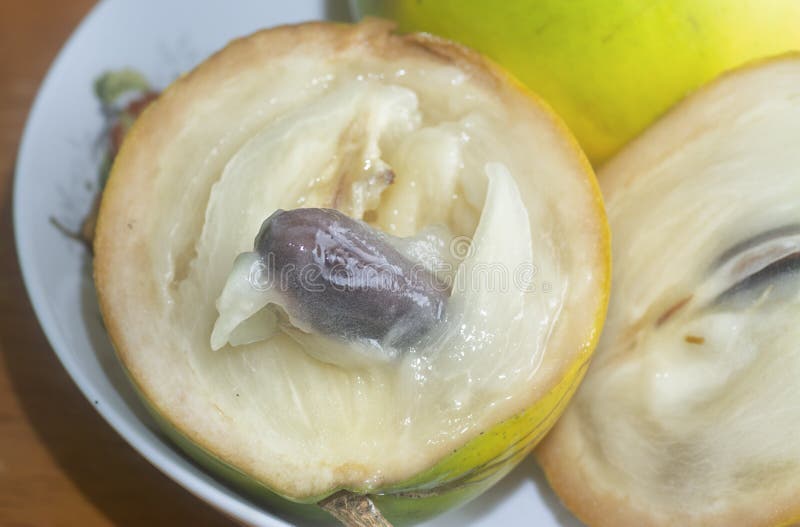 Ripe Yellow Pouteria Caimito Fruit. Stock Image - Image of amazon ...