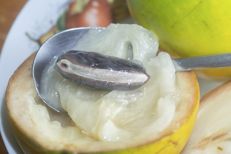 Ripe Yellow Pouteria Caimito Fruit. Stock Image - Image of edible ...