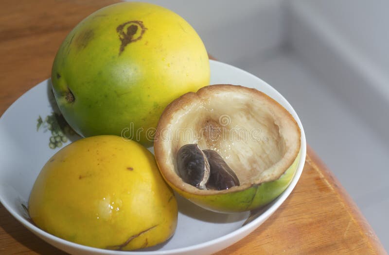 Ripe Yellow Pouteria Caimito Fruit. Stock Image - Image of plant, jelly ...