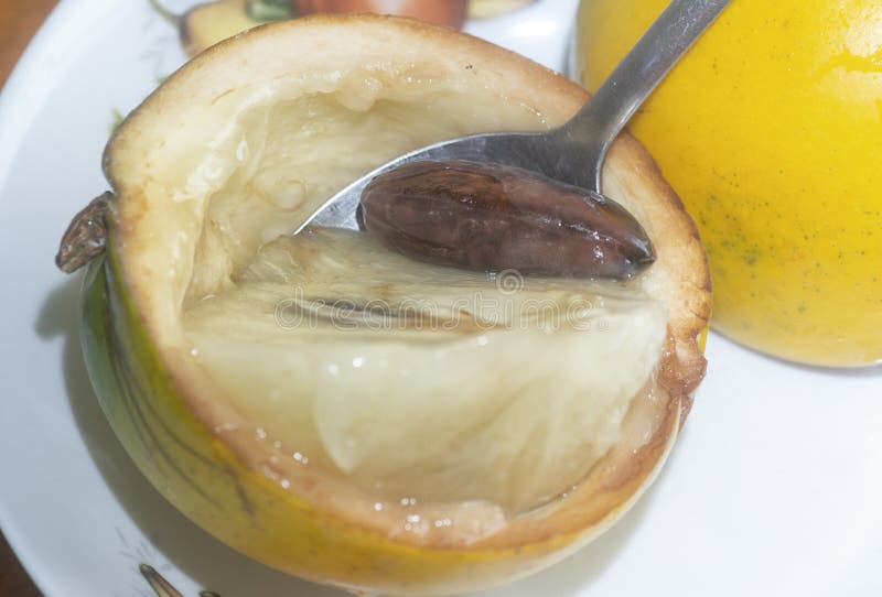 Ripe Yellow Pouteria Caimito Fruit. Stock Photo - Image of nutrition ...