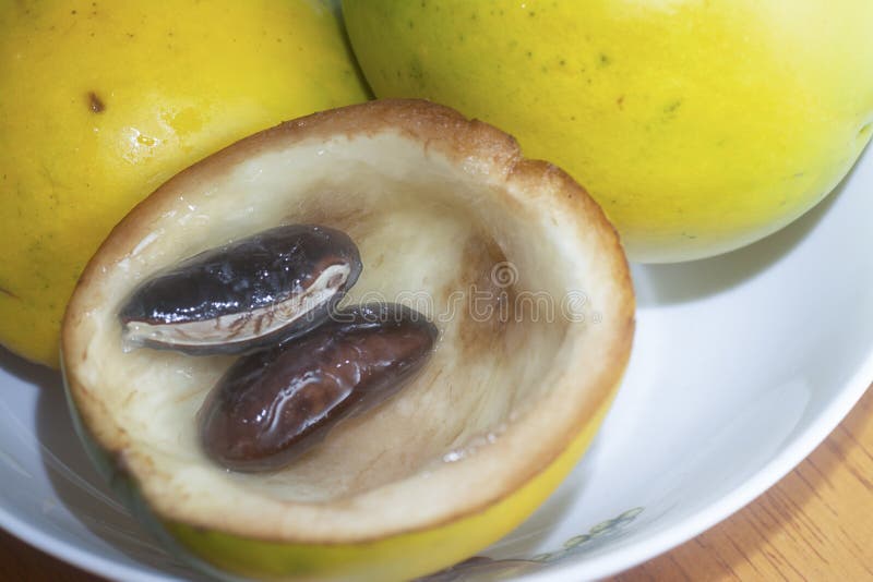 Ripe Yellow Pouteria Caimito Fruit. Stock Photo - Image of pouteria ...