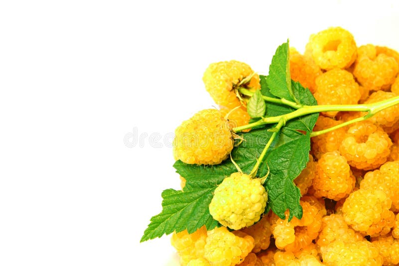Ripe yellow raspberry stock image. Image of closeup, green - 33533699
