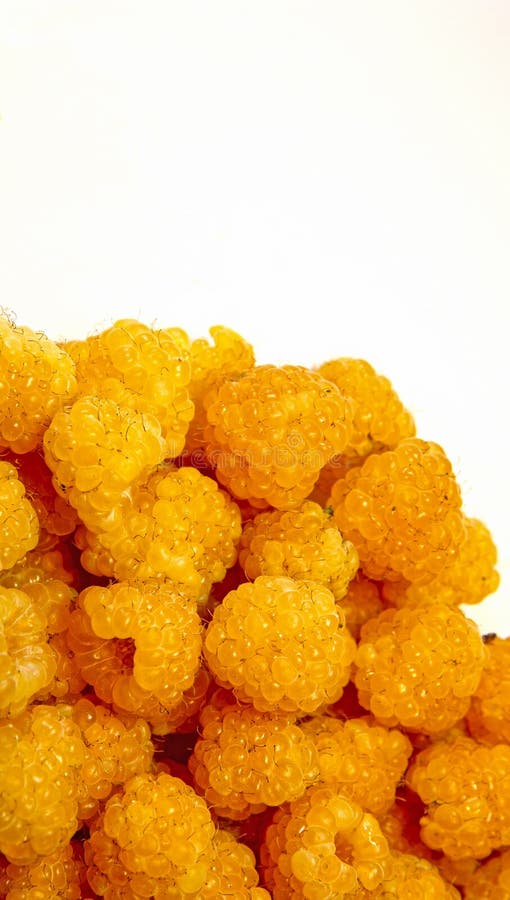 Yellow raspberry stock photo. Image of ingredients, freshness - 25995344