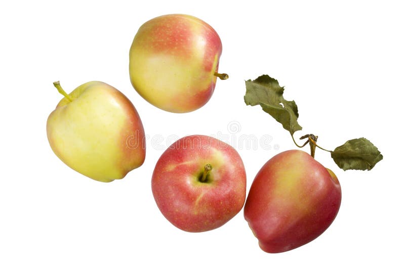 Ripe yellow red apples stock image. Image of healthy - 101414003