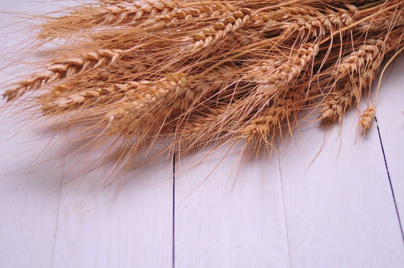 Ripe Wheat Bran on the Table Stock Image - Image of board, healthy ...