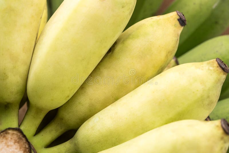 Ripe yellow whole banana stock photo. Image of harvest - 59009298