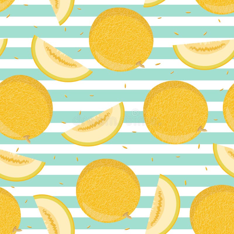 Ripe Yellow Whole and Cut Pieces of Melons Stock Vector - Illustration ... Ripe Yellow Whole and Cut Pieces of Melons Stock Vector - Illustration ...