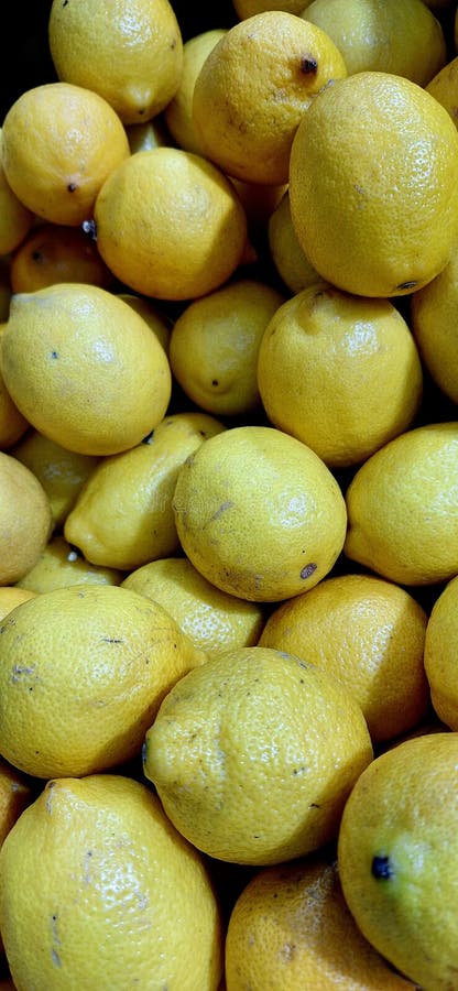 Riped Juicy Lemons stock photo. Image of ripe, lemons - 314947084