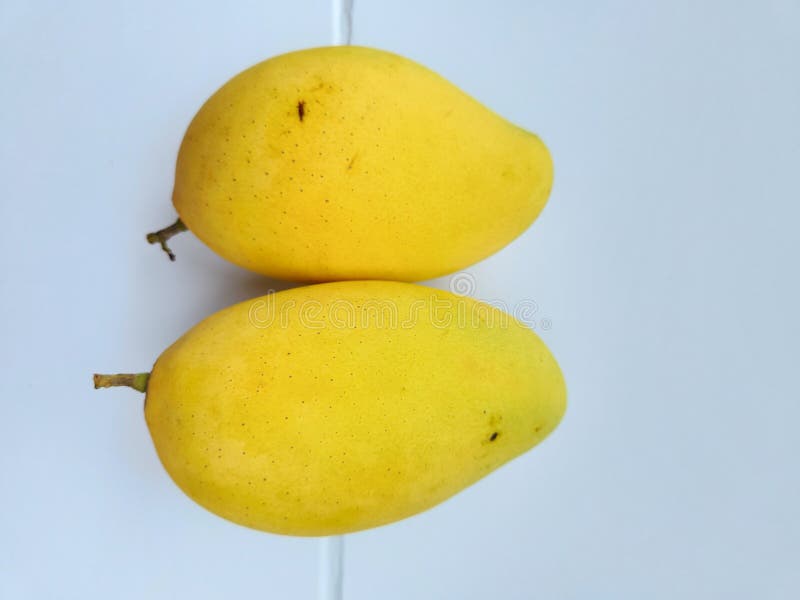 Riped Mango Fruit on White Background. Stock Photo - Image of fruit ...