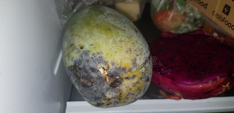 Riped Mangoo Stock Photos - Free & Royalty-Free Stock Photos from ...