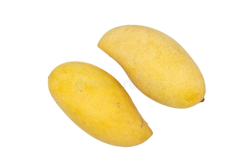 Riped Waterlily Mango Isolated on White. Clipping Path Stock Image ...