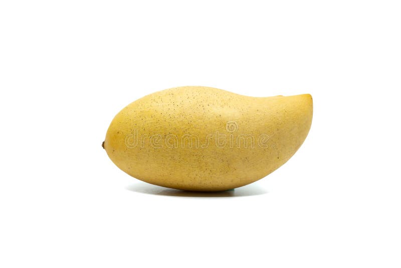 Riped Waterlily Mango Isolated on White. Clipping Path Stock Image ...