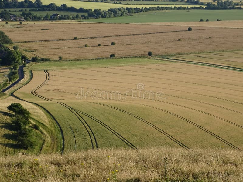 760 Farmers Lines Stock Photos - Free & Royalty-Free Stock Photos from ...