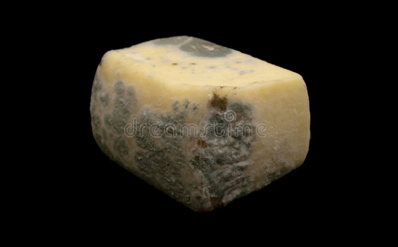 Ripening Yellow Cheese. Mold Covered Cheese, Spoiled Cheese Stock Photo ...