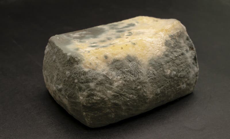 Ripening Yellow Cheese. Mold Covered Cheese, Spoiled Cheese Stock Photo ...