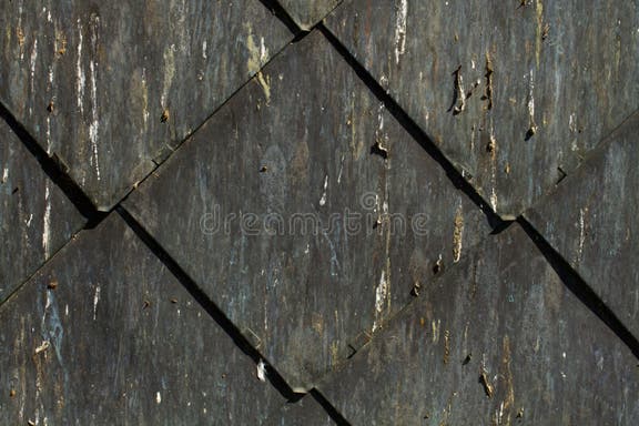 Ripia sucia foto de archivo. Imagen de indiferente, negro - 26223418